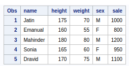 PROC PRINT with Examples in SAS | Intellect Sage